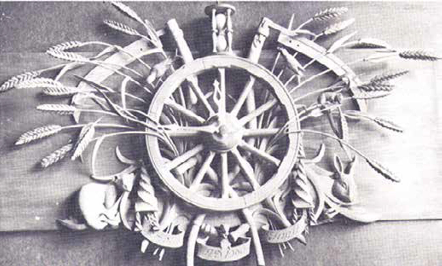 Lime Wood and Lime Trees; History and Science – Institute of Carpenters