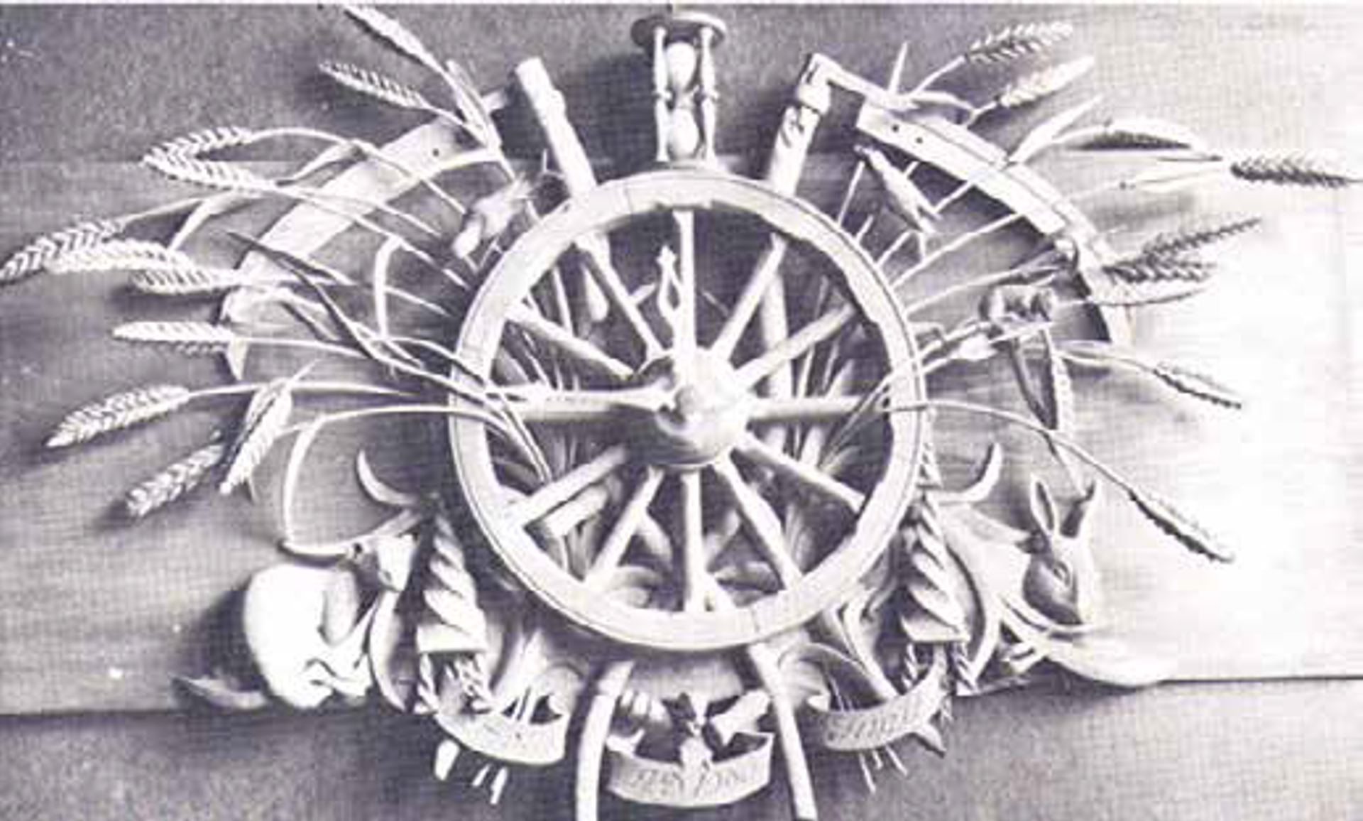 Lime Wood and Lime Trees; History and Science – Institute of Carpenters