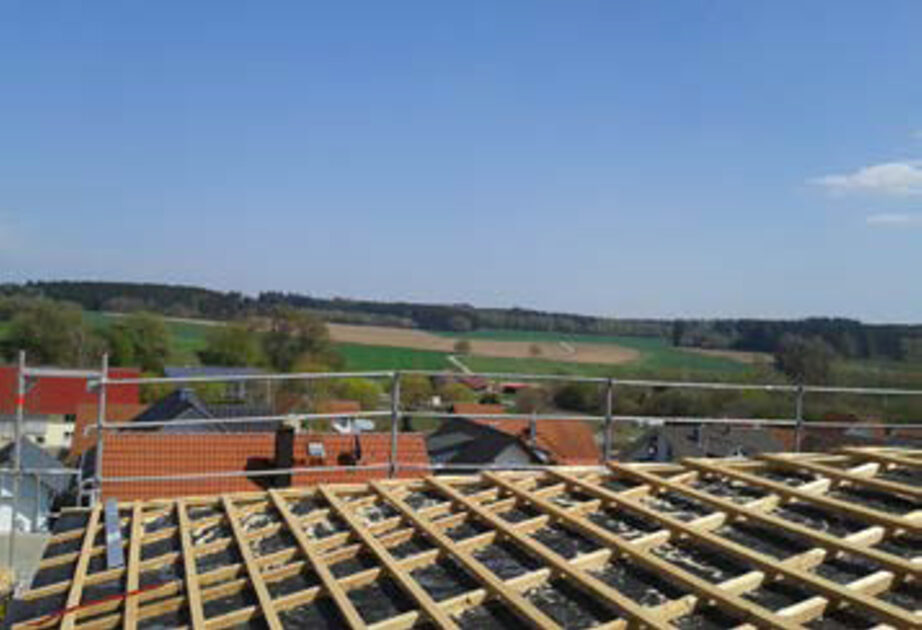 Exploring A Future Germany – Institute of Carpenters